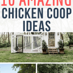 Amazingly Gorgeous and Stylish Chicken Coop Ideas - Twelve On Main