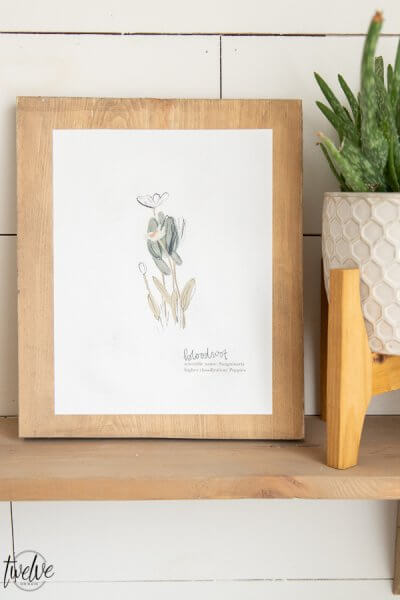 Free Botanical Illustration Printables for Spring! - Twelve On Main