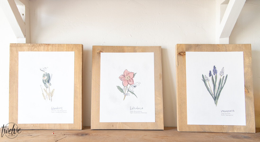 Free Botanical Illustration Printables for Spring! - Twelve On Main