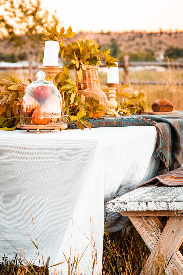 Gorgeous and Simple Outdoor Fall Table Decor - Twelve On Main