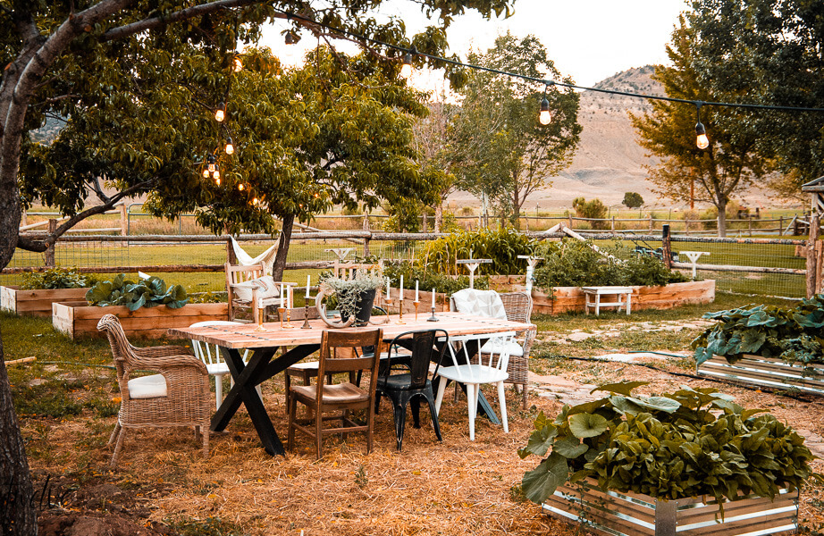 24 Outdoor Dining and Entertaining Tips for Your Backyard - Twelve On Main