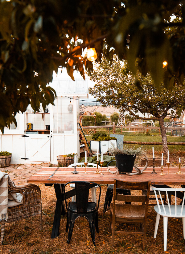 24 Outdoor Dining and Entertaining Tips for Your Backyard - Twelve On Main