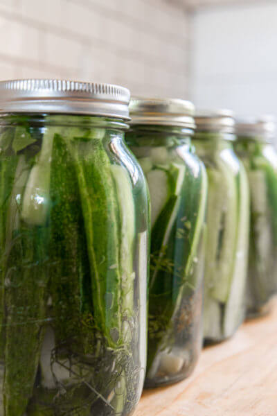Easy Homemade Refrigerator Dill Pickles - Twelve On Main