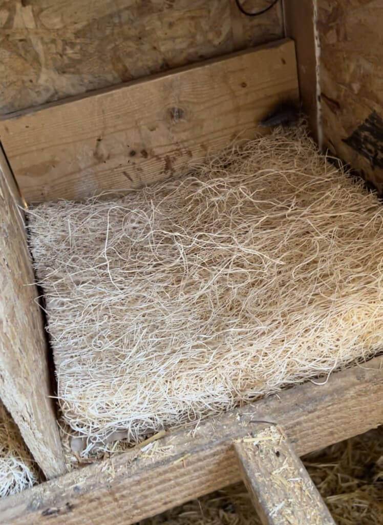 The Ultimate Guide to What to Put in Chicken Nesting Boxes for Happy Hens