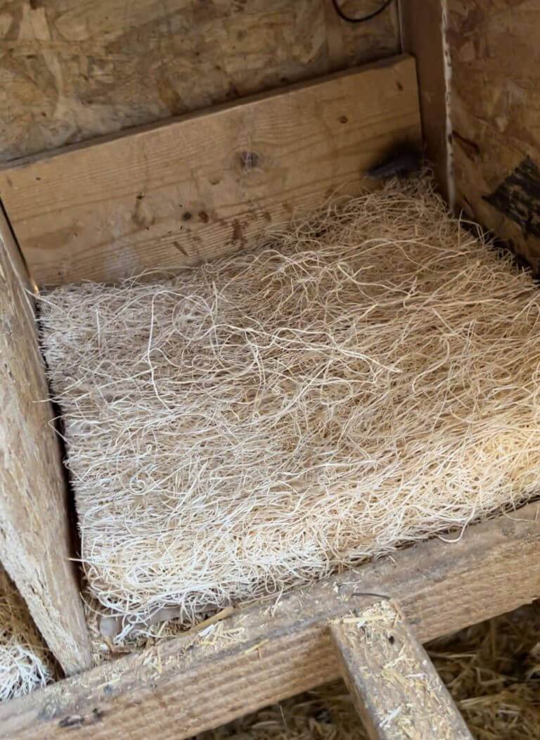 The Best Chicken Nesting Box Filler and Why We Use It - Twelve On Main