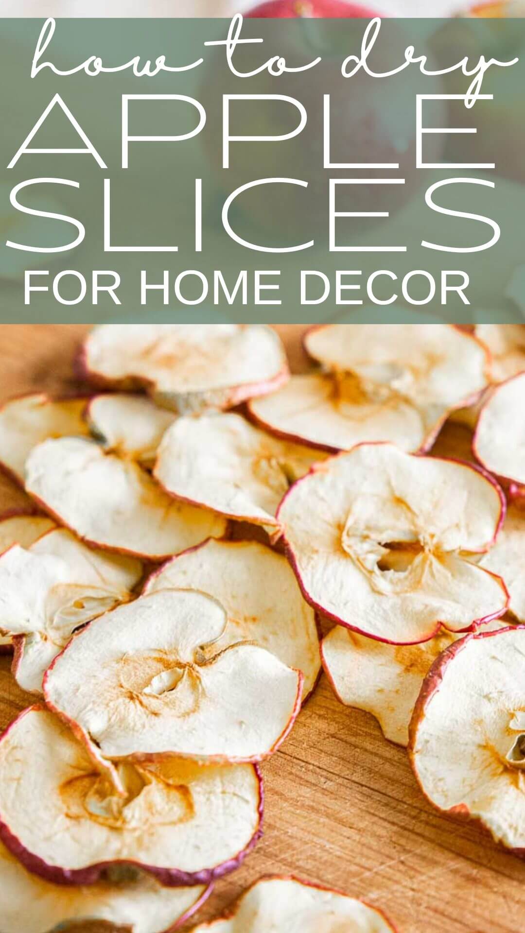 How to Dry Apple Slices for Decoration - Twelve On Main
