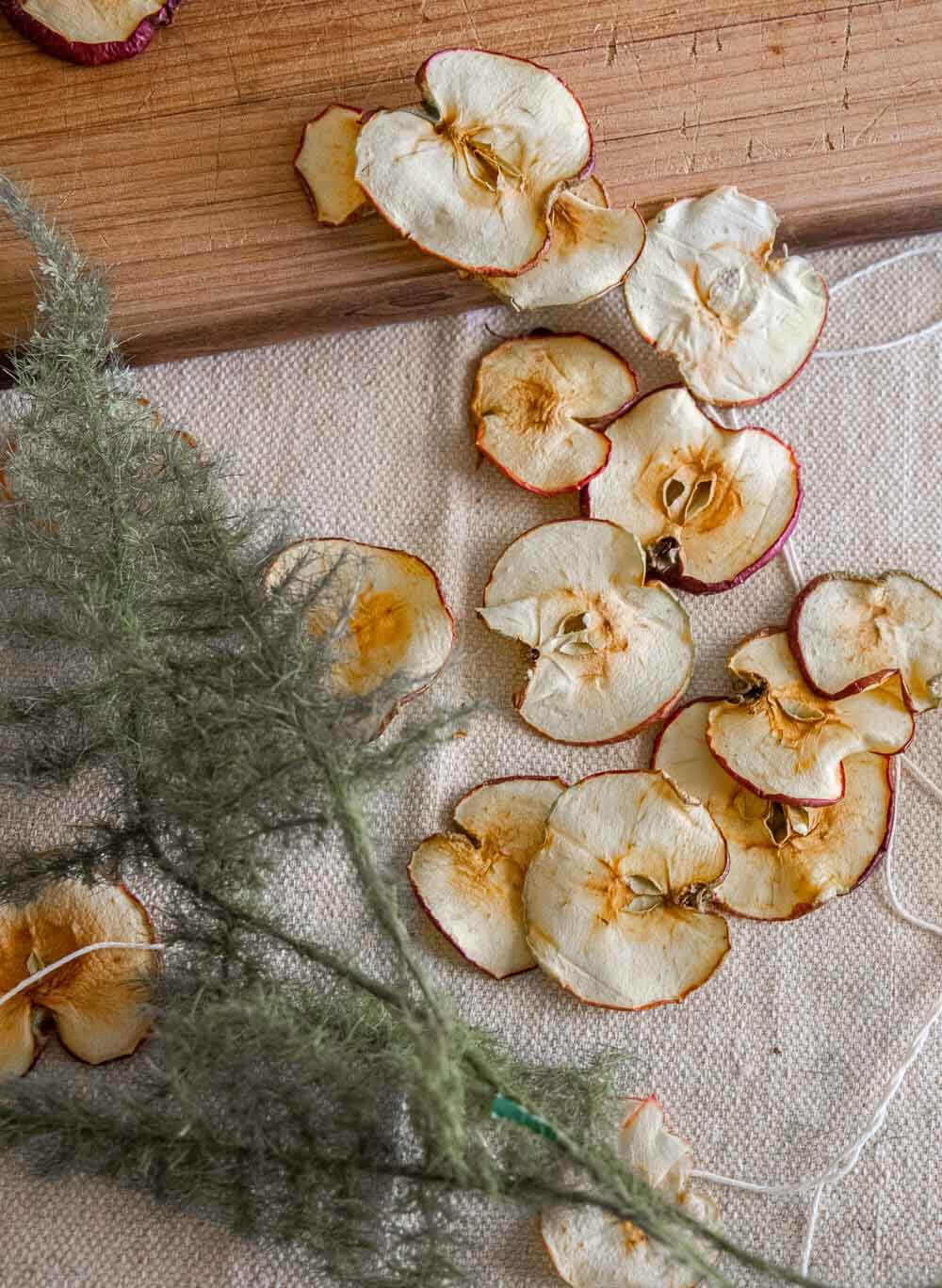 How to Dry Apple Slices for Decoration - Twelve On Main