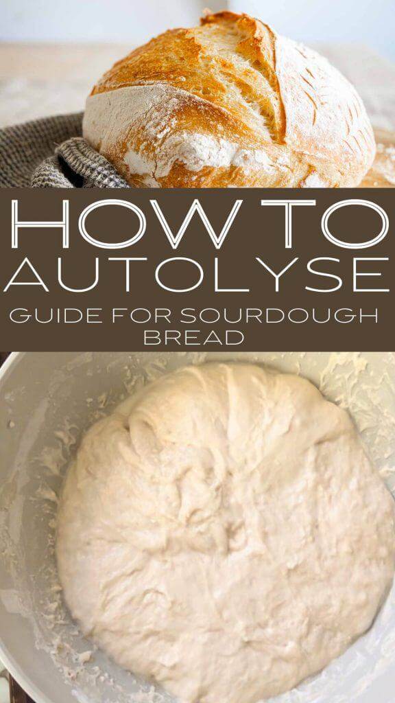 What is Autolyse? A Complete Sourdough Bakers Guide - Twelve On Main
