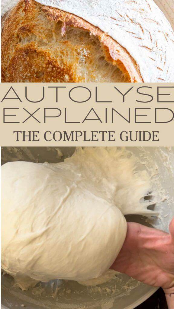 What is Autolyse? A Complete Sourdough Bakers Guide - Twelve On Main